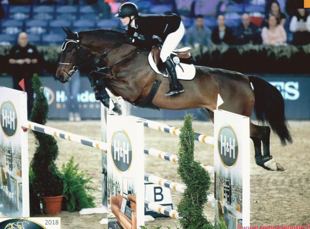 Kitile Horta – Stal 't Paradijs